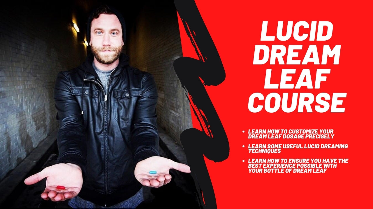 Lucid Dream Leaf Course - Have Even Better Lucid Dreaming Success With